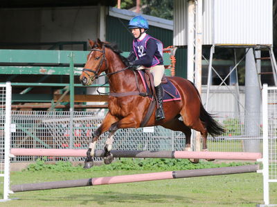 GeoSnapShot | Photos from 2016 Singleton Pony Club Showjumping ...