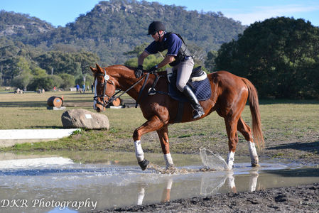 GeoSnapShot | Photos from 2017 Denman Horse Trials